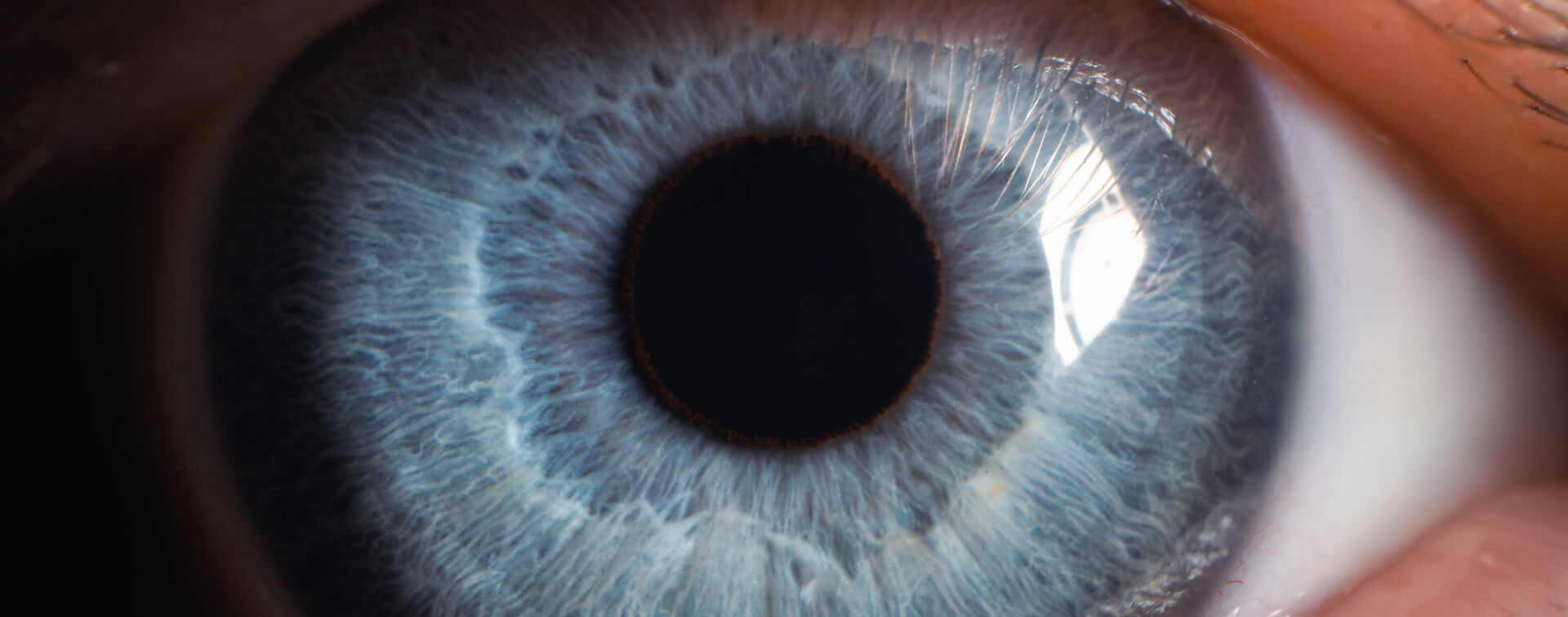 ineye®, a patente portuguesa de Oftalmologia que soma prémios ...